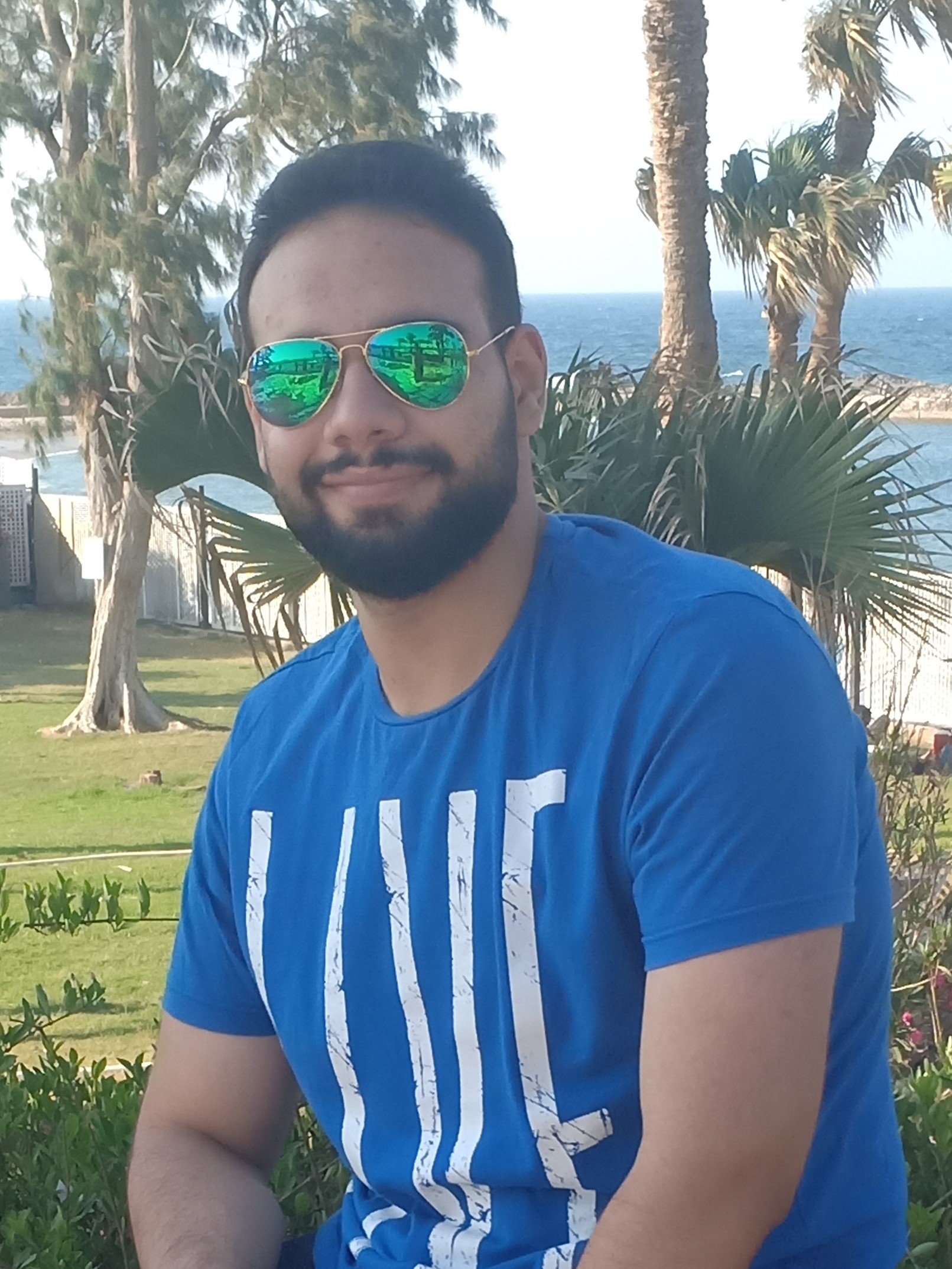 Mostafa Nasser Portfolio